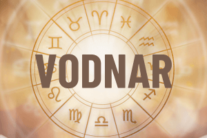Letni horoskop Vodnar 2024 - Šlogarca za vas